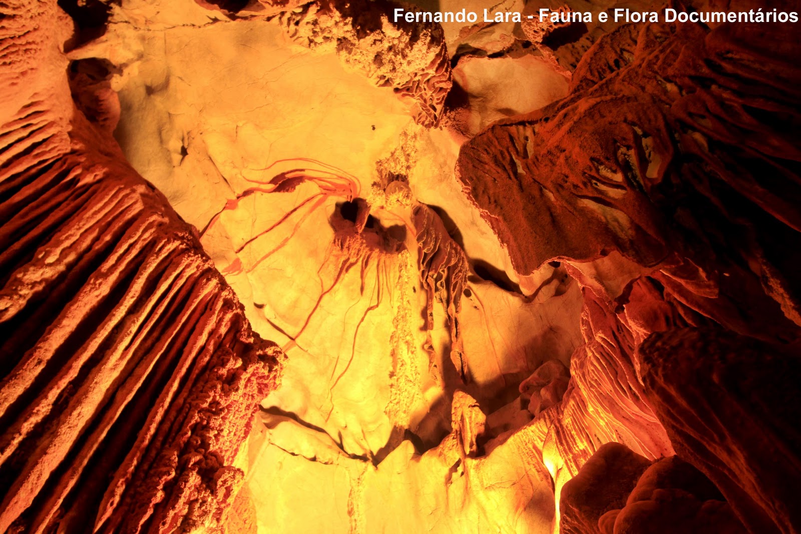 Rotas Verdes Brasil: Rotas Verdes Brasil registra Parque Nacional de ...