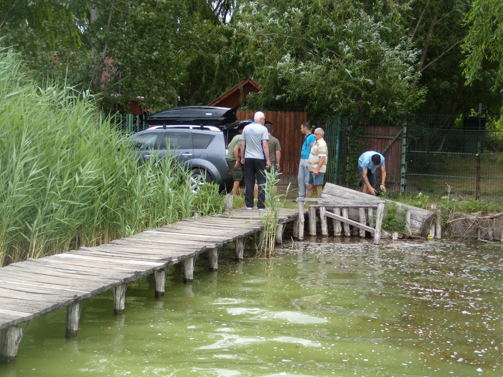 Shimano Casting Day - Lacul Geormane, Craiova 14.06.2014