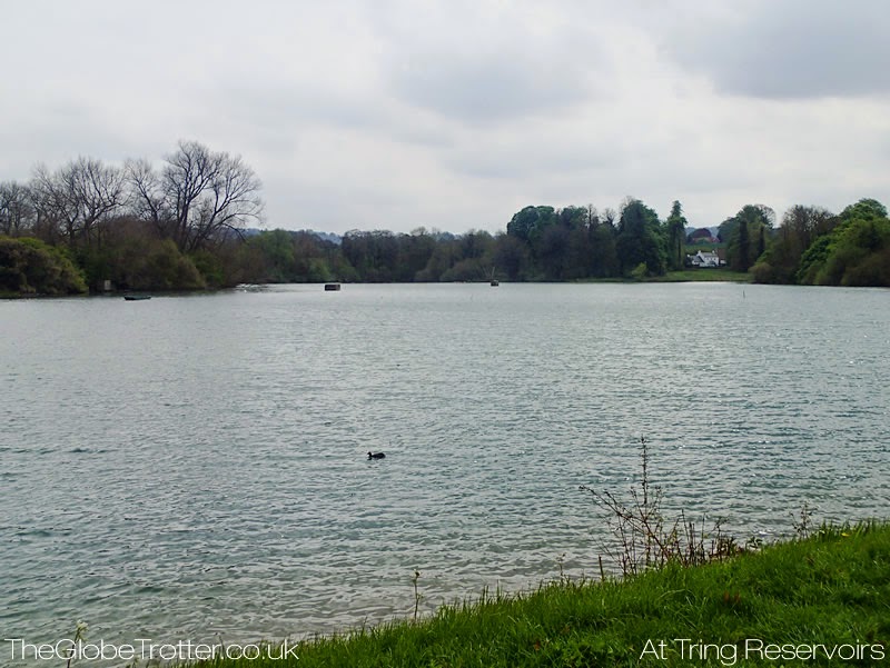 Discovering England: Tring Reservoir Walks - The Globe Trotter