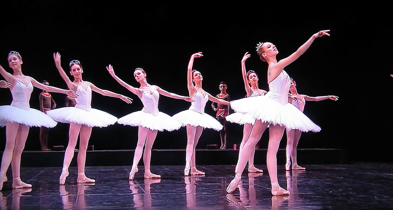 The Things I Enjoy: The 300th Anniversary Gala of the Paris Opera ...