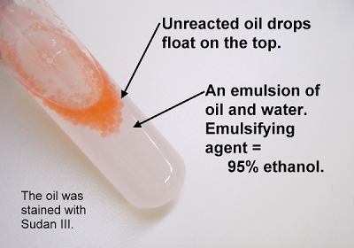 #32 Food test 3 - Emulsion (ethanol) test for Fats | Biology Notes for ...