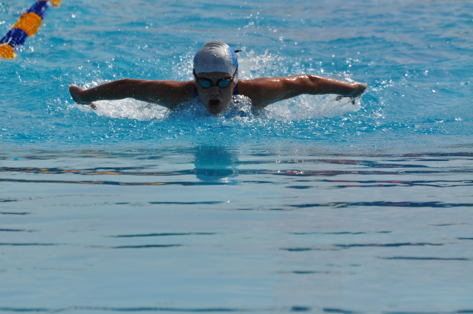 Apunts de Natació: 6- Estudi de la Papallona