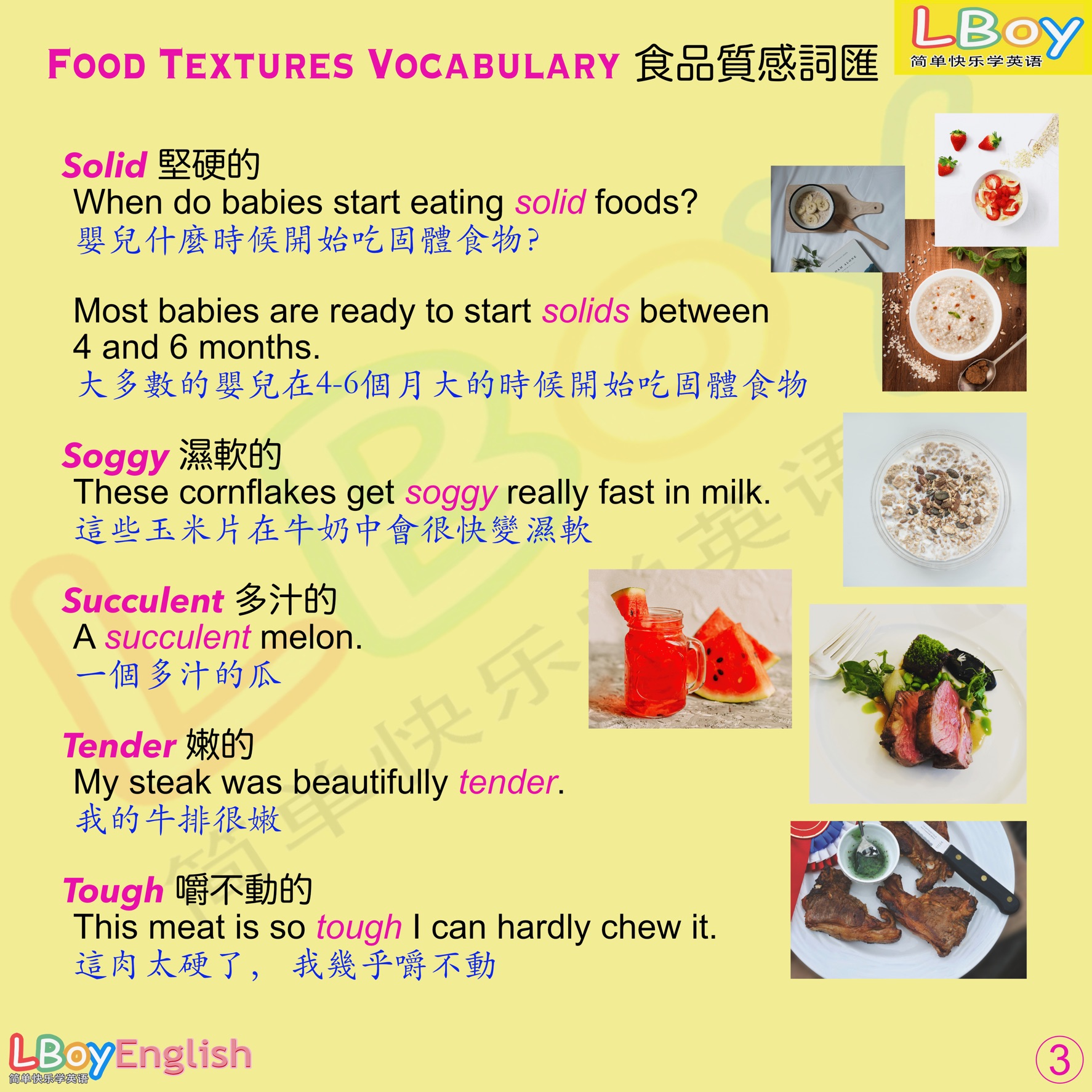 Food Textures Vocabulary 食品質感詞匯