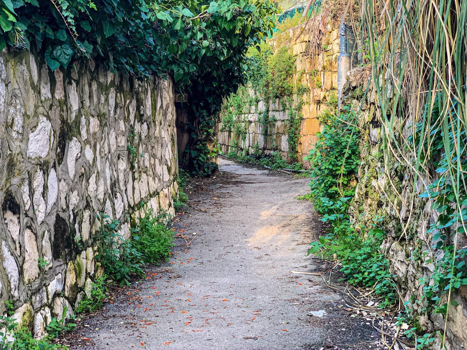 مكان @ Makan : قرية عين كارم وازقتها الجميلة - ضواحي القدس - تصوير ...