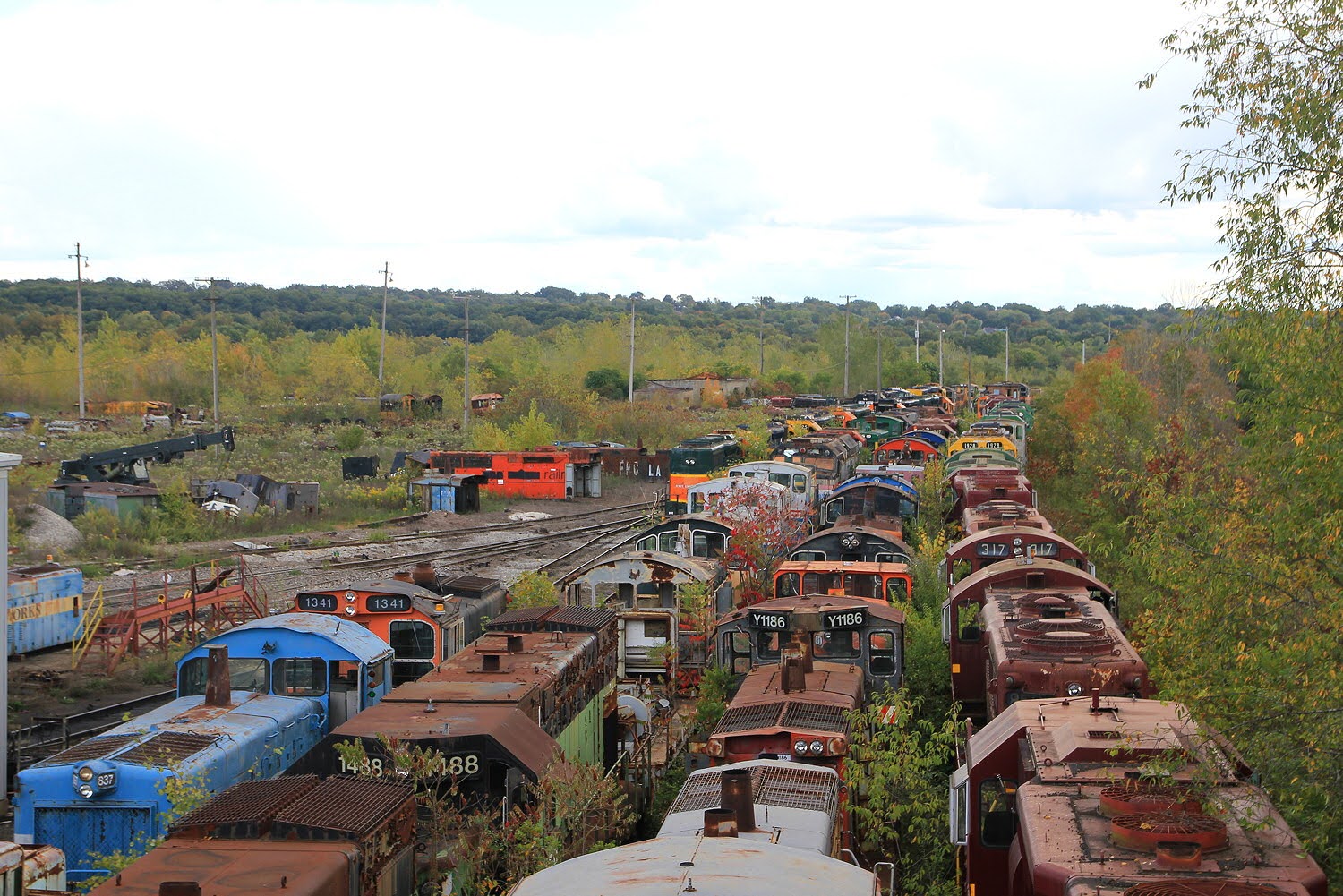 Jersey Mike's Rail Adventures: 20-10-01 PHOTOS: RAVE