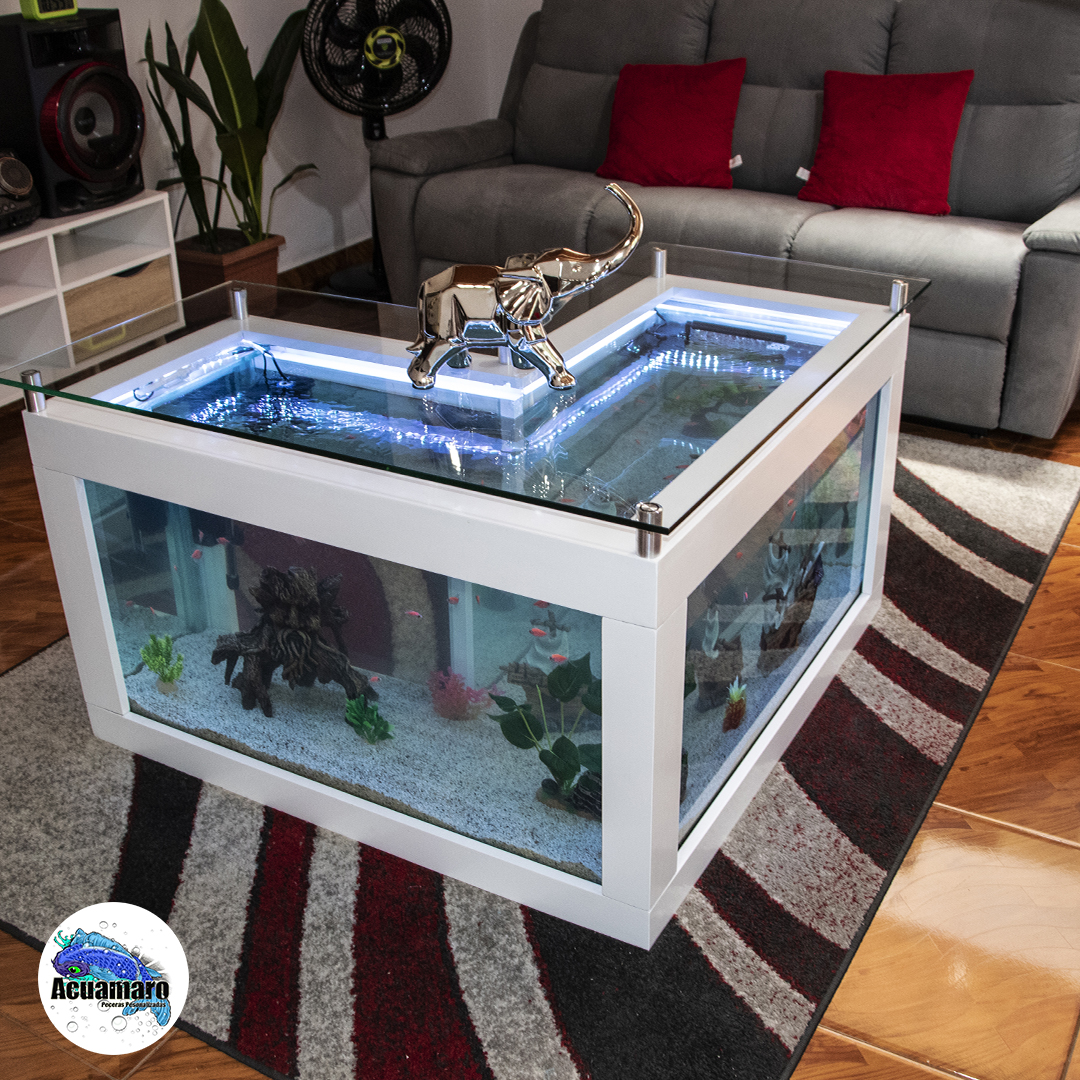 Acuarios, Peceras, Peces, Fuentes de Agua en Cali - Colombia: Pecera ...