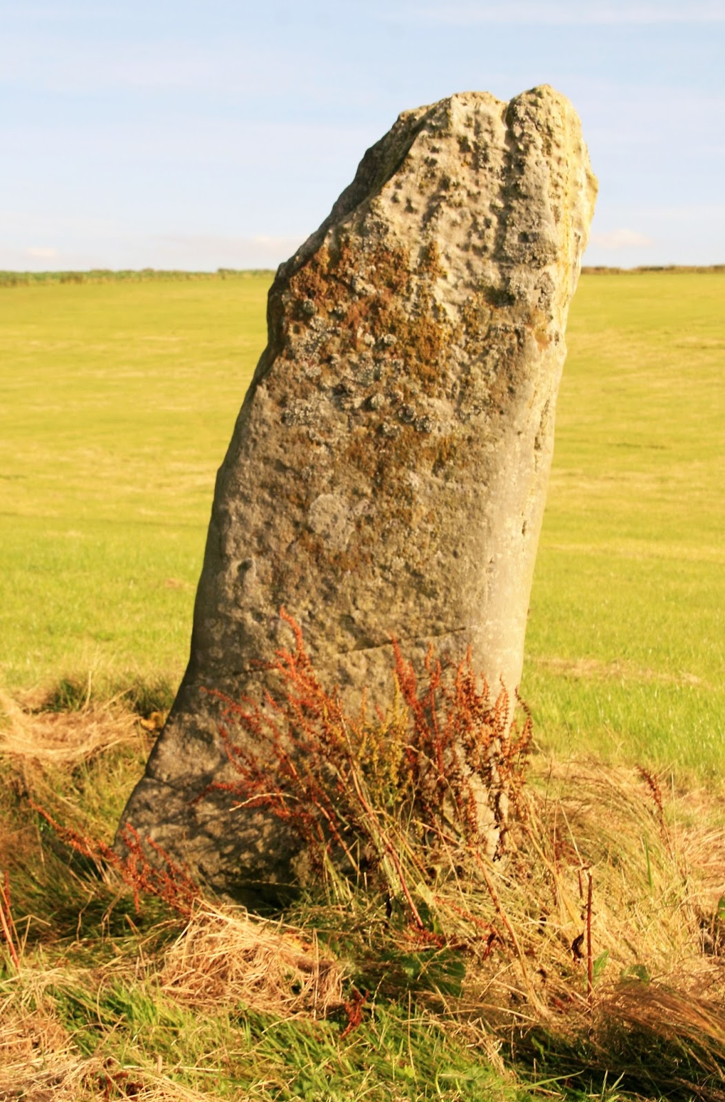 All in the life of me, budgie and friends: Gowk Stane, Auchencorth.