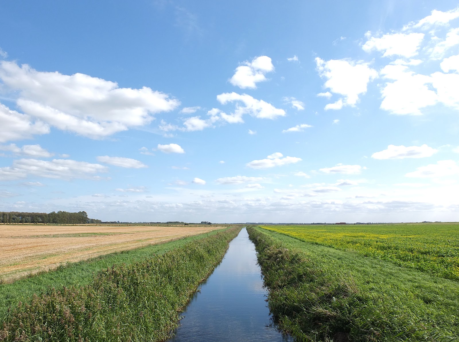Norfolk 'N Good: View across the Fens - near Grunty Fen