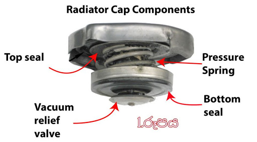 රේඩියේටරයේ පීඩන පියන (radiator pressure cup)