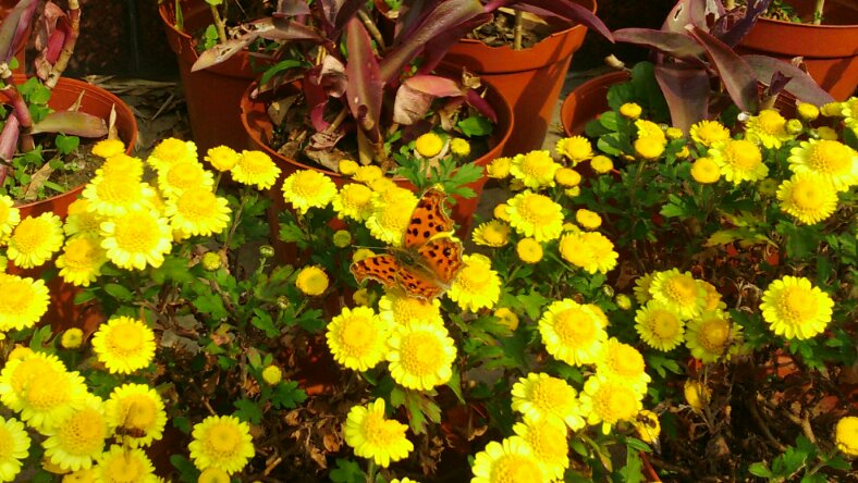 Yer Üstünden Notlar: B3. SİMGELER VE İŞARETLER