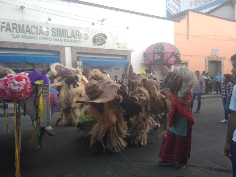 Llega la segunda edición del Carnaval Temascalcingo 2020 - El ...