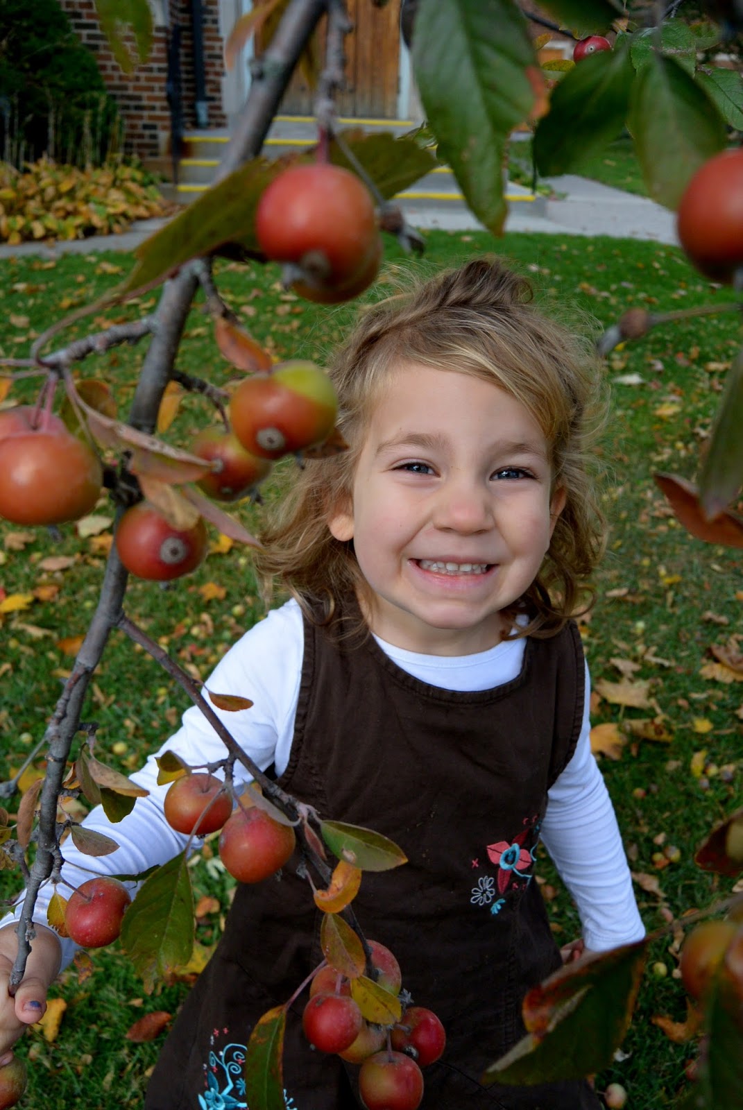 Elisha Galotti: PICTURES ~ A SMALL PARTY FOR A WEE GIRL