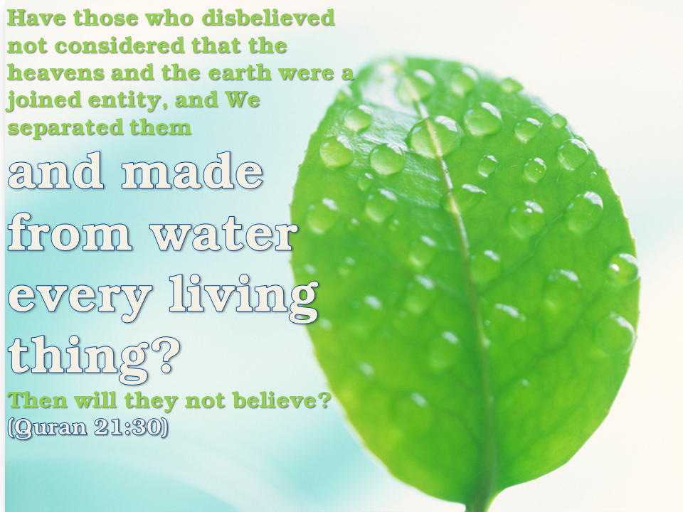 Nermeen's Blog: Water Aid Posters