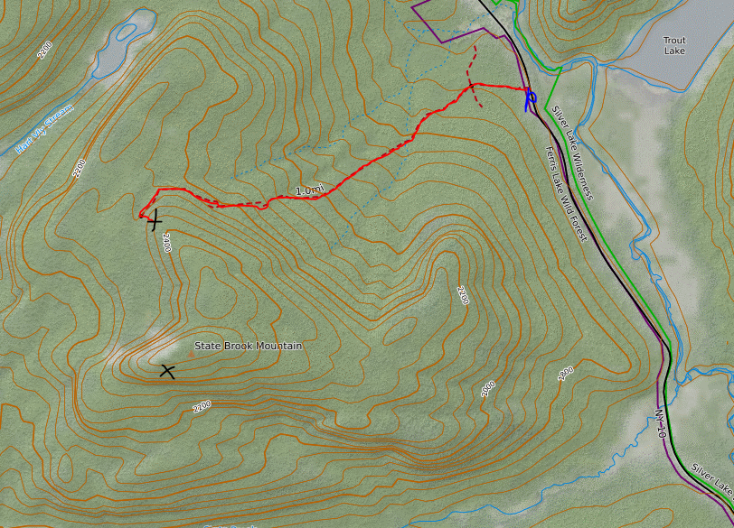 Walking Man 24 7: State Brook Mountain(Ferris Lake Wild Forest-Adirondacks)