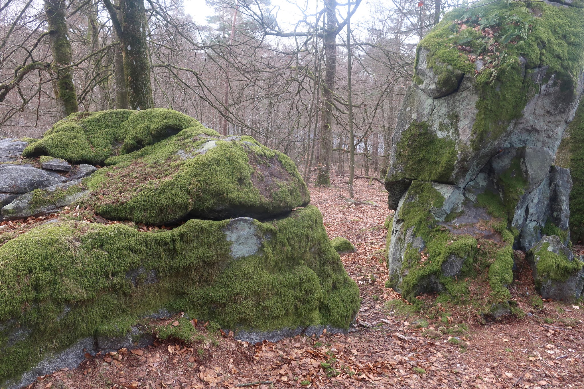 Femfemman: Svängningar