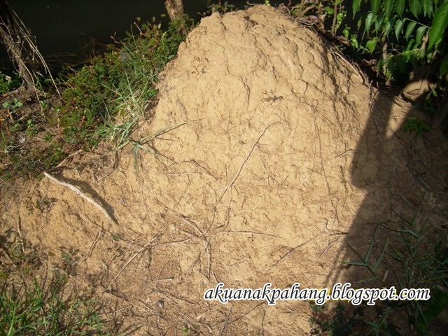 MITOS ORANG MELAYU APA ADA PADA BUSUT? | AKU ANAK PAHANG