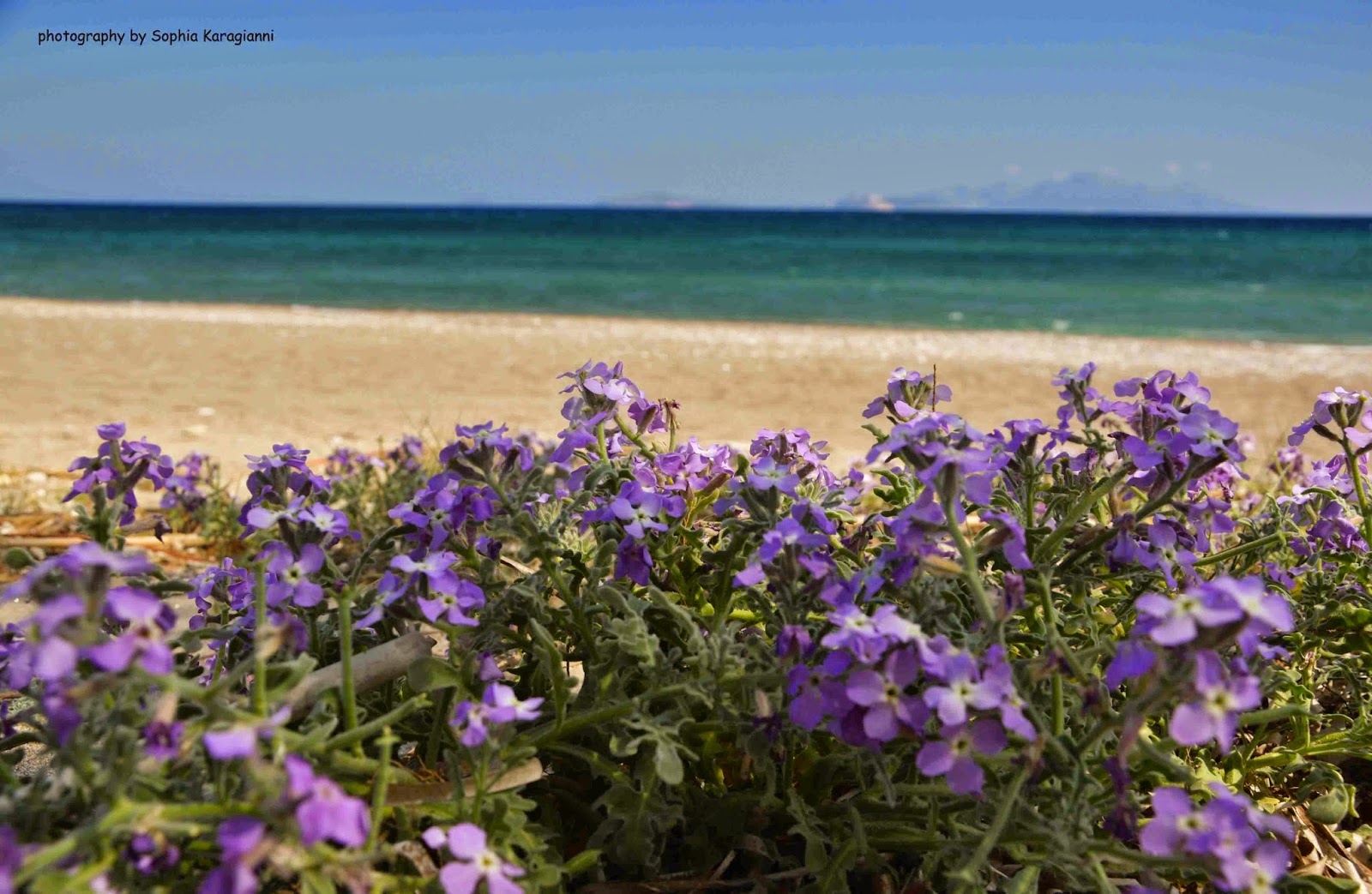 Kos and the Dodecanese through my eyes-Η Κως και τα γύρω νησιά μέσα από ...