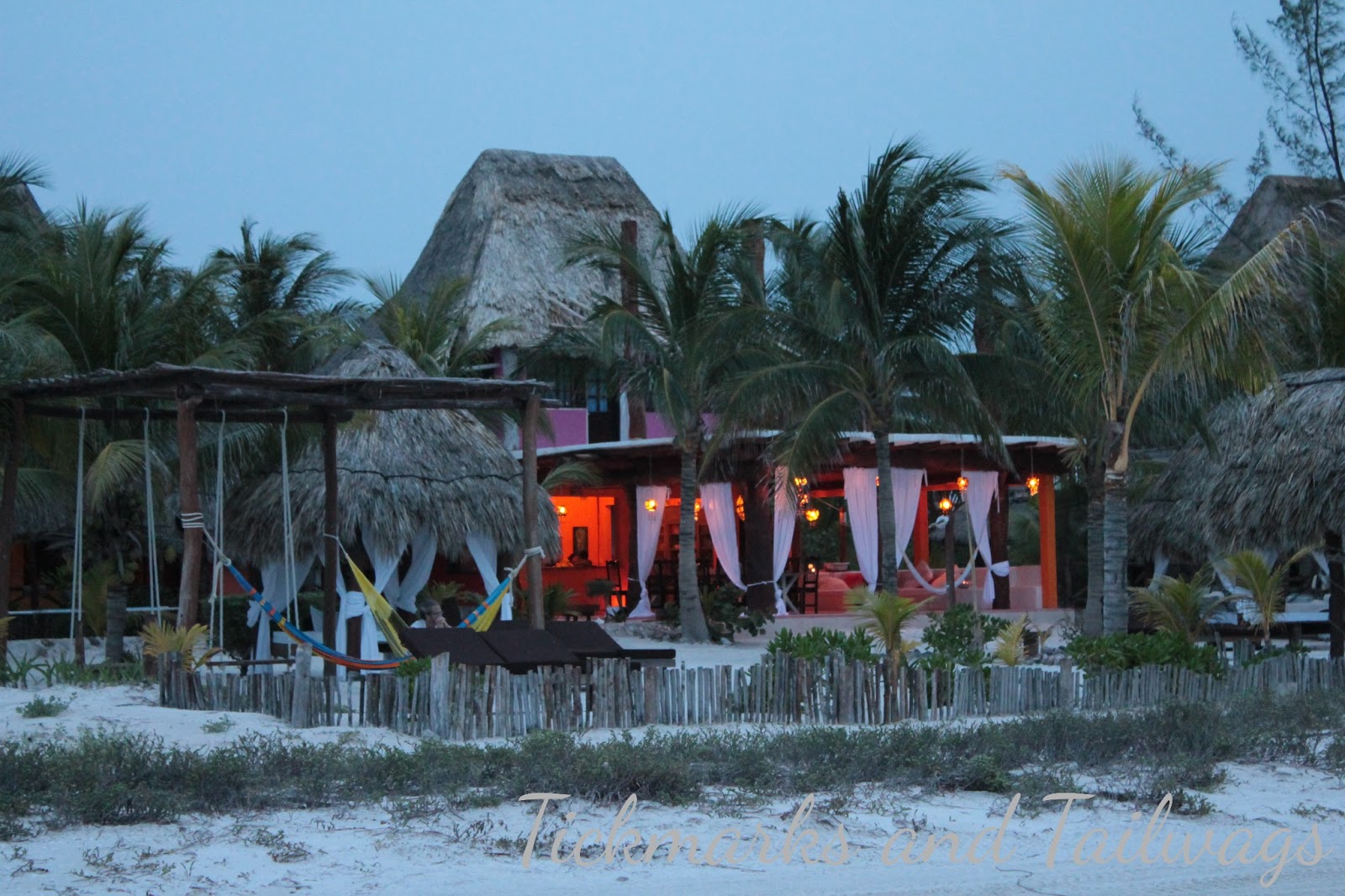 Tickmarks & Tailwags: Holbox Vacation, part II
