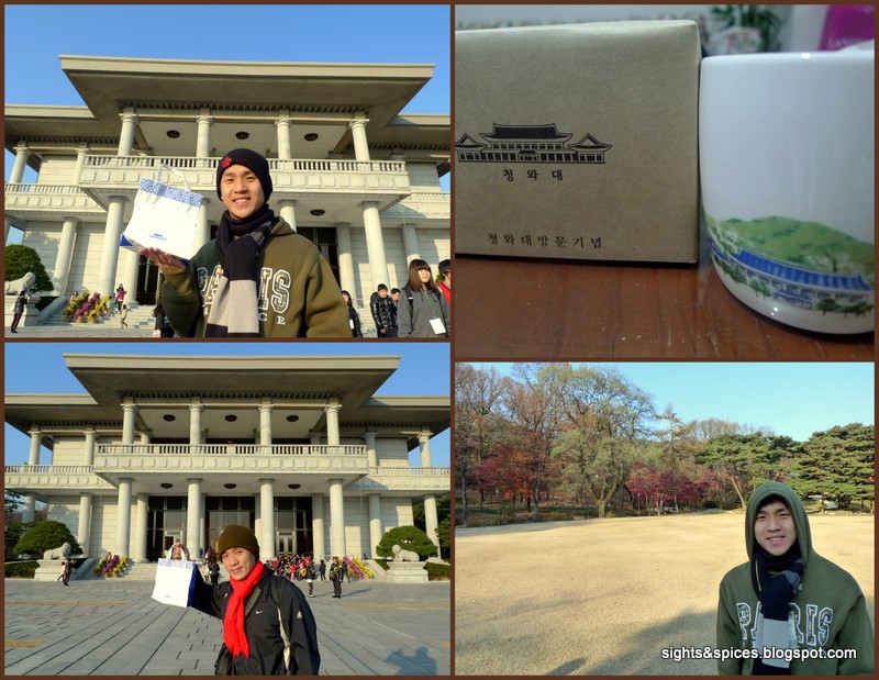 Sights and Spices: Sights: The Charm of SEOUL, SOUTH KOREA