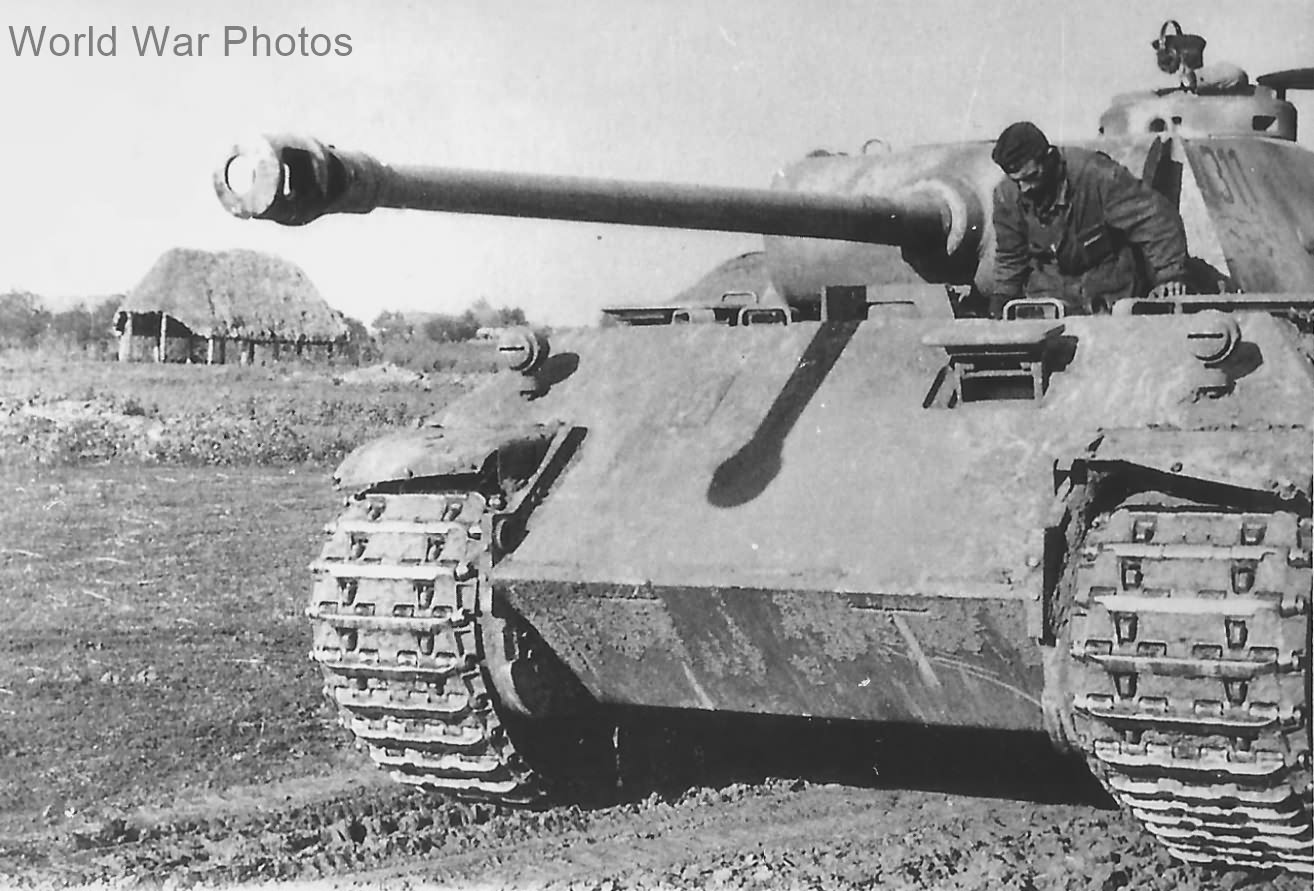 steiner-kf: Großdeutschland - Division - Panther