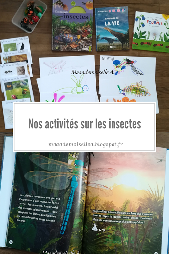 Maaademoiselle A.: || Nos activités sur les insectes