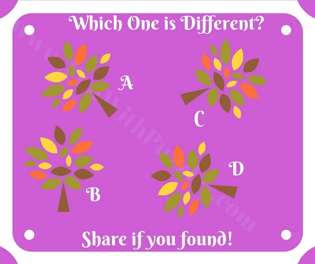 Picture Puzzles for Genius Minds with Answers