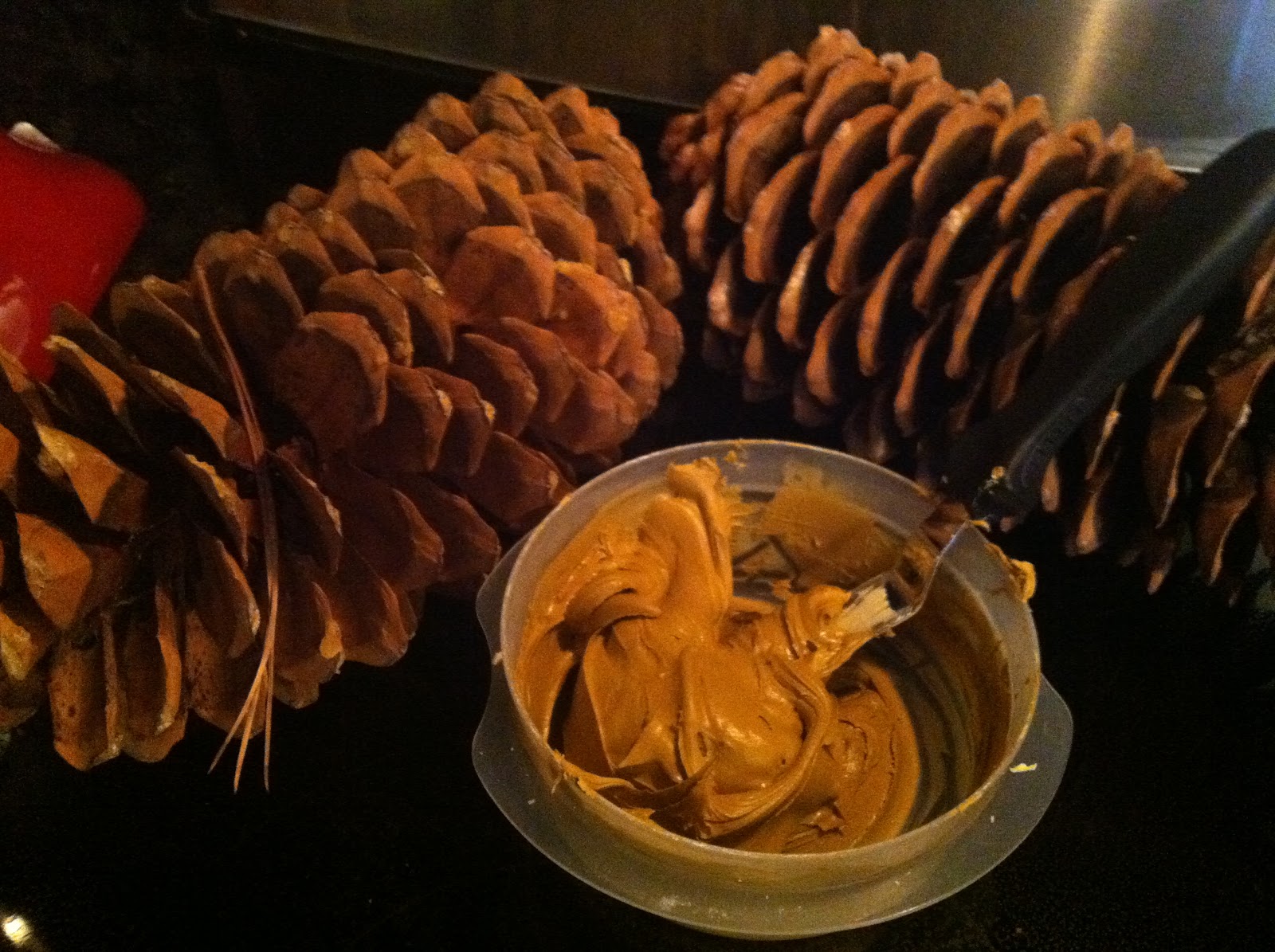 The Iced Queen: Royal Icing Pine Cones