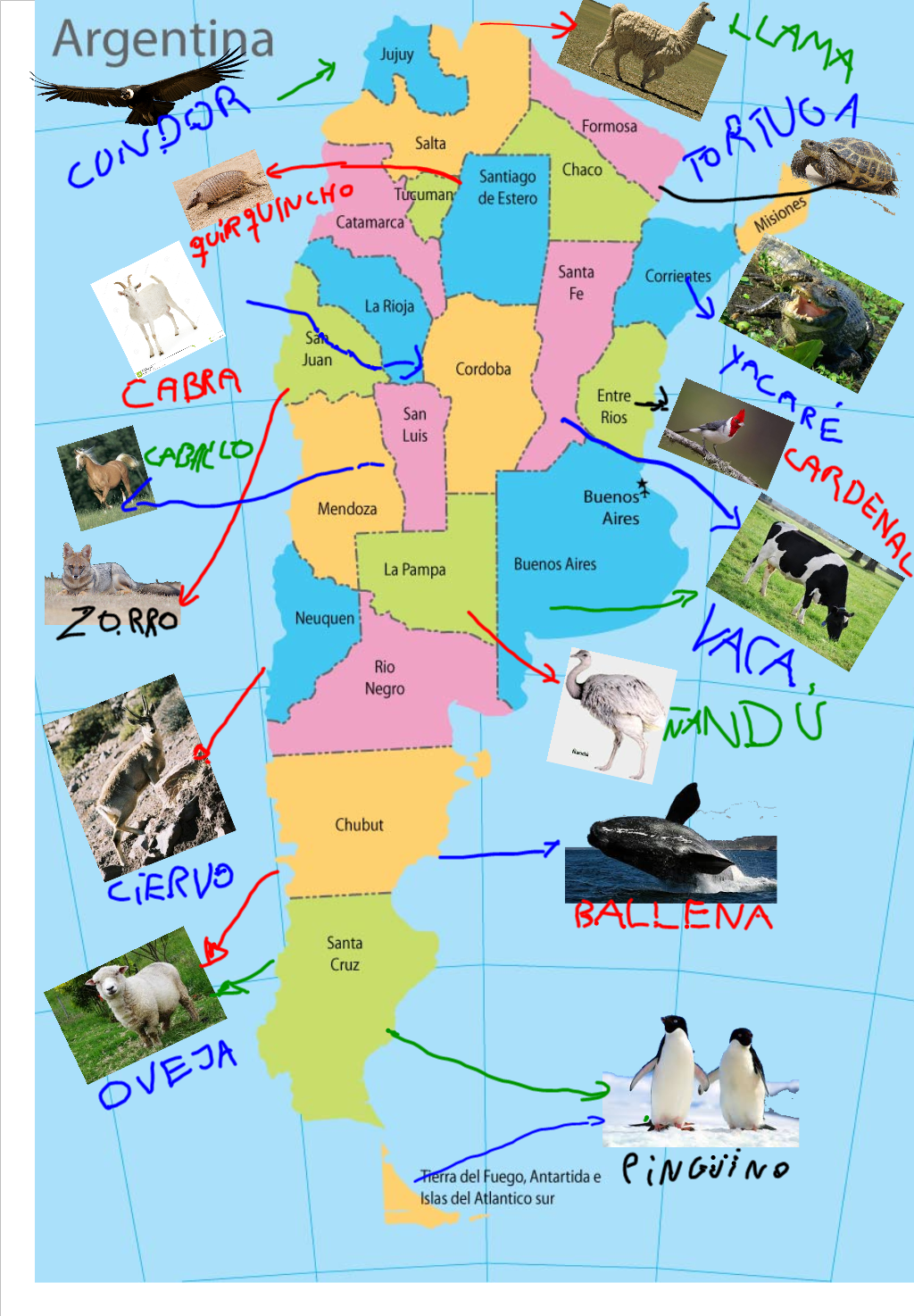 Escuela Presidente Mitre: La fauna de nuestro país