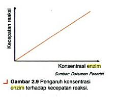 DUNIA PENGETAHUAN: ENZIM