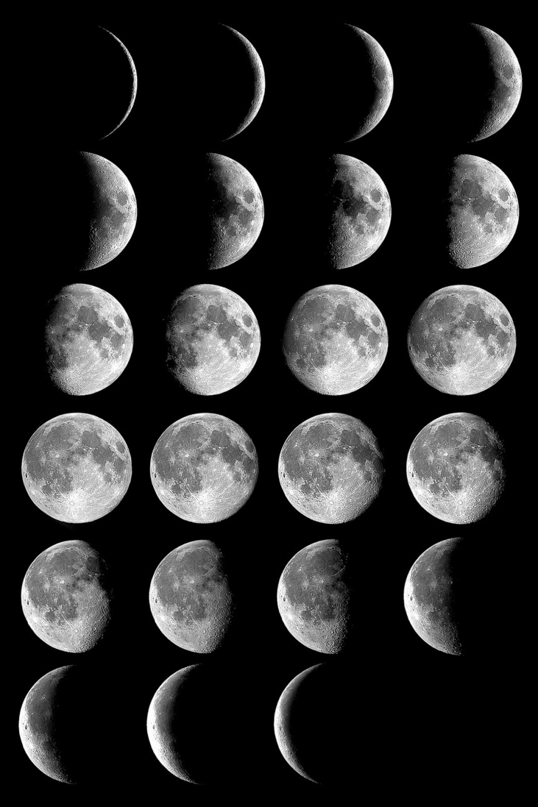 Mrs D s Science Phases Of The Moon Oreo Style mrs-d-s-science-phases-of-the-moon-oreo-style