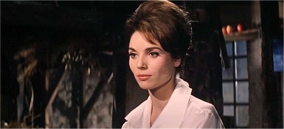 L'Alligatographe: Le Capitan