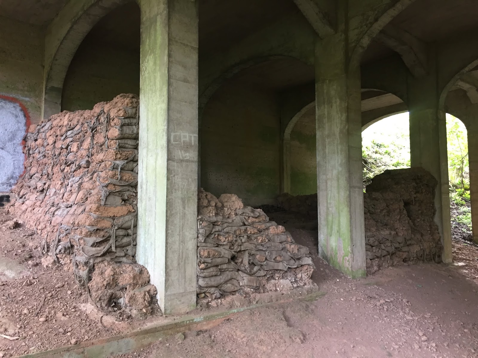 coastrider: Isolation Cycle 48; Dunglass Bridges, and WW2 defences....