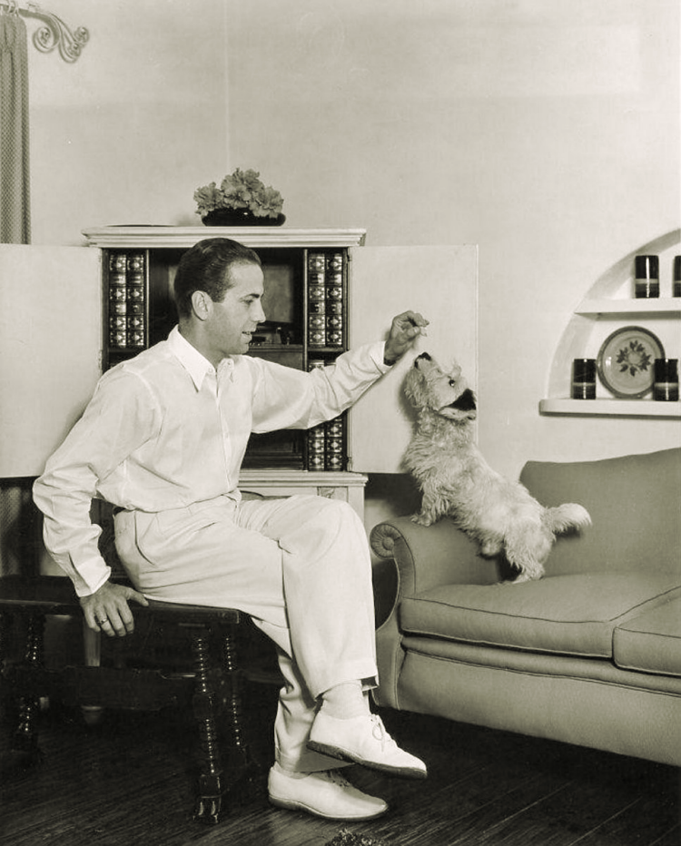 Gods and Foolish Grandeur: The gentleman Bogart