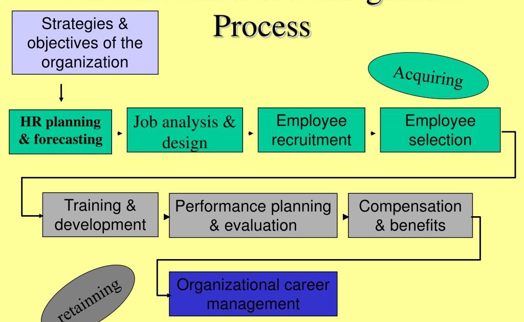 Human Resource Management