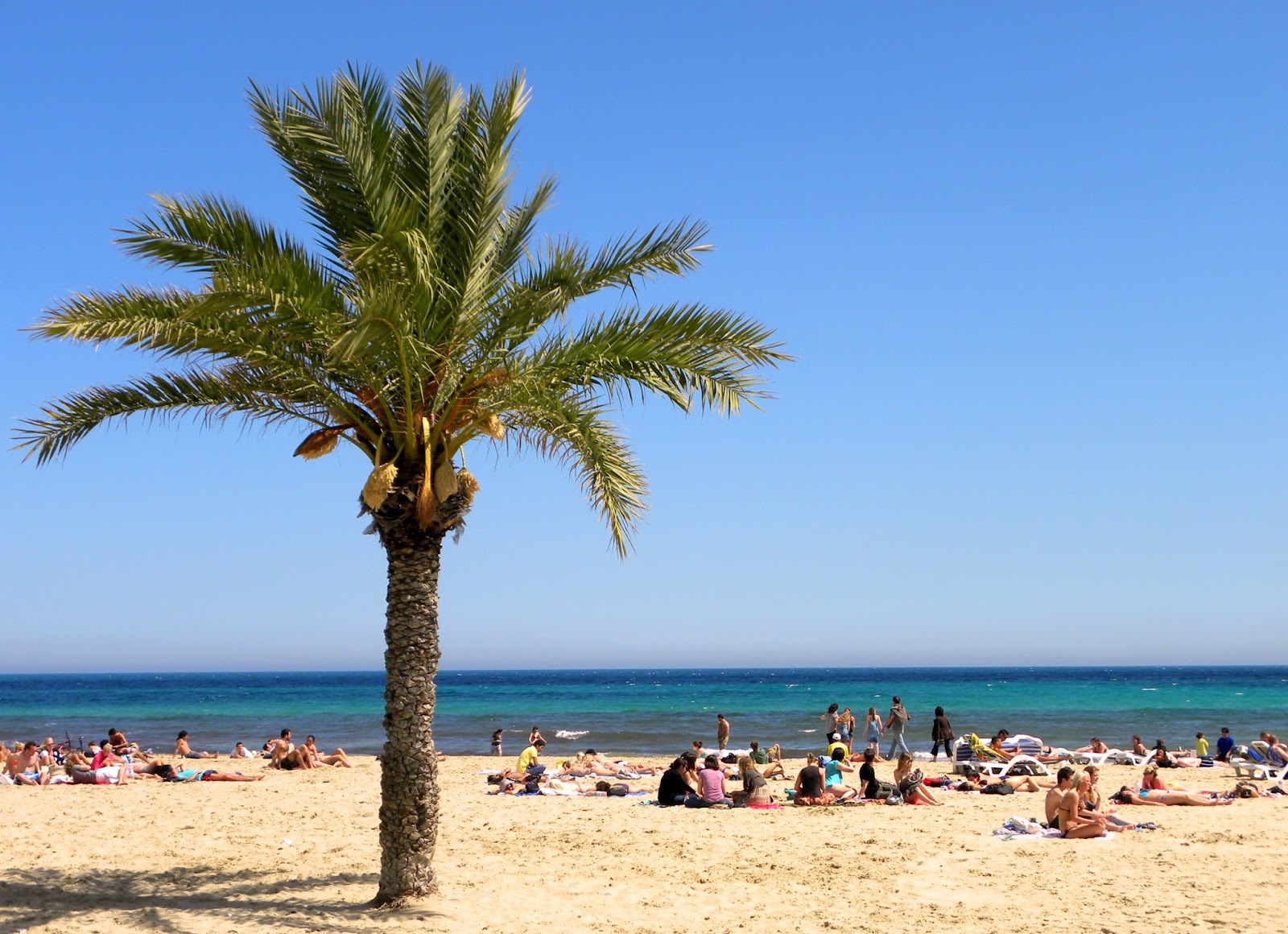 Alternative Guide to Fuengirola