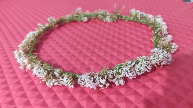 Picnic Time Creativity- Tiara with white clover | wild grass flower|