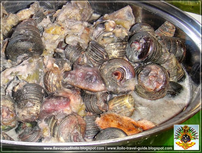 Ginata-ang Bago-ngon with Dagmay (Gabi)