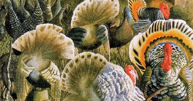 It's About Time : One of my favorite turkey paintings