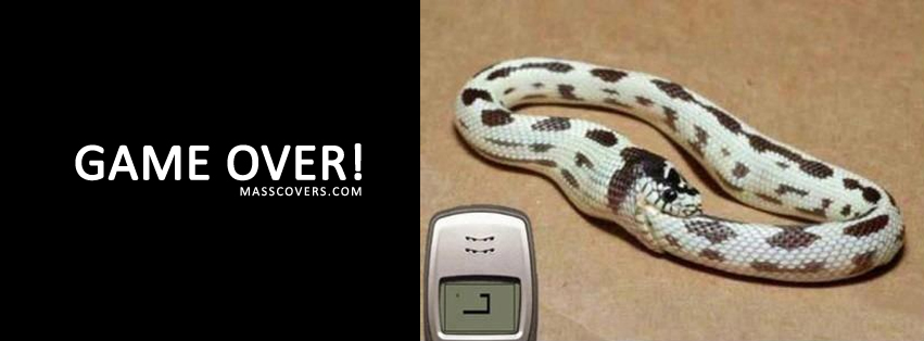 Snake! Game Over. Facebook Cover | FB Cover - Unique Covers For FB Timeline