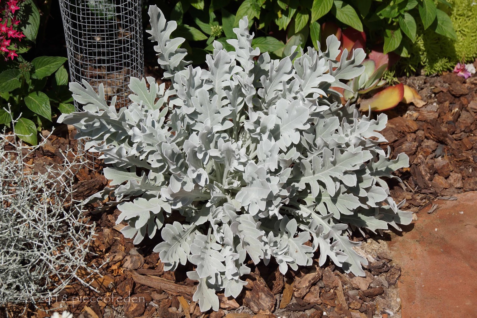 Please Don't Bloom, Because Your Flowers Are Ugly