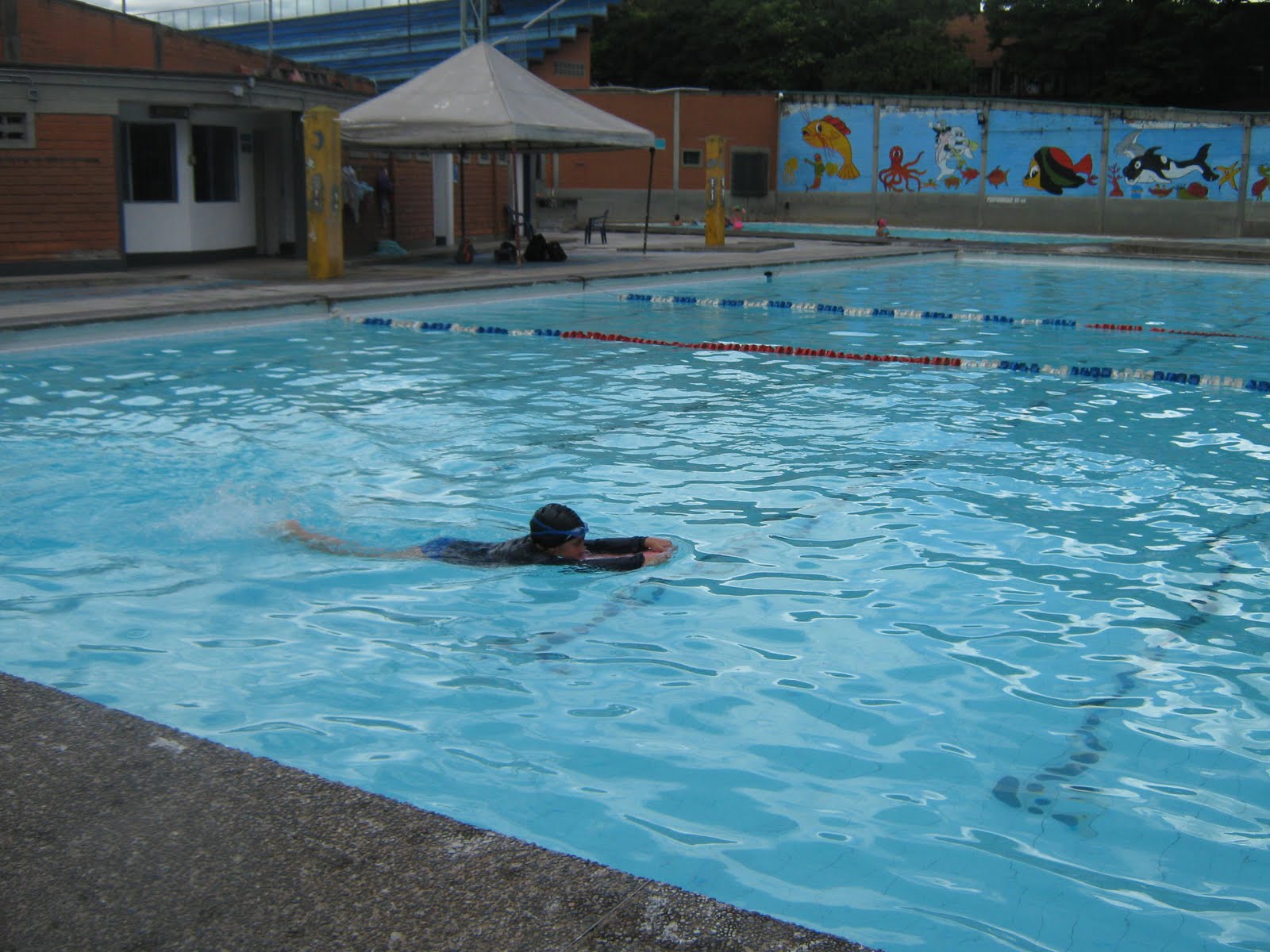 lili y nia: NATACION INFANTIL