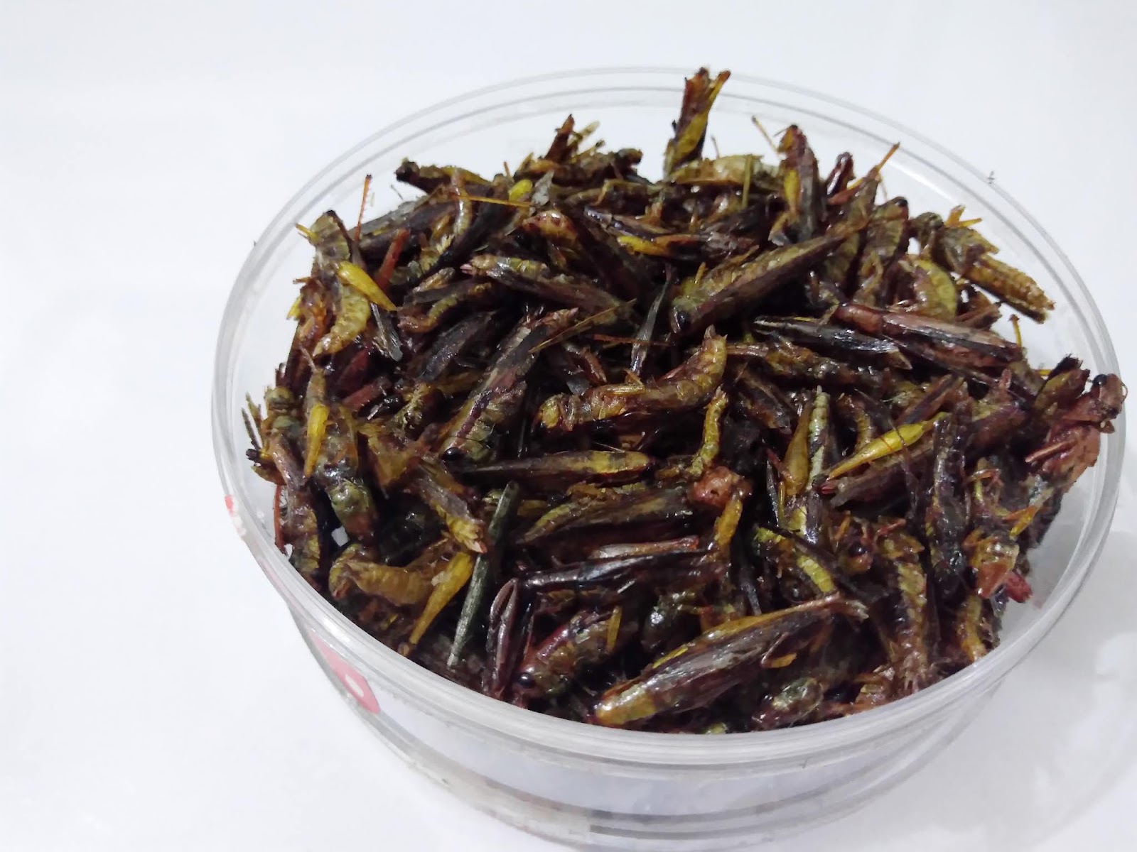 Icip-Icip Belalang Goreng, Cemilan Khas Gunung Kidul, Jogjakarta | mrs ...