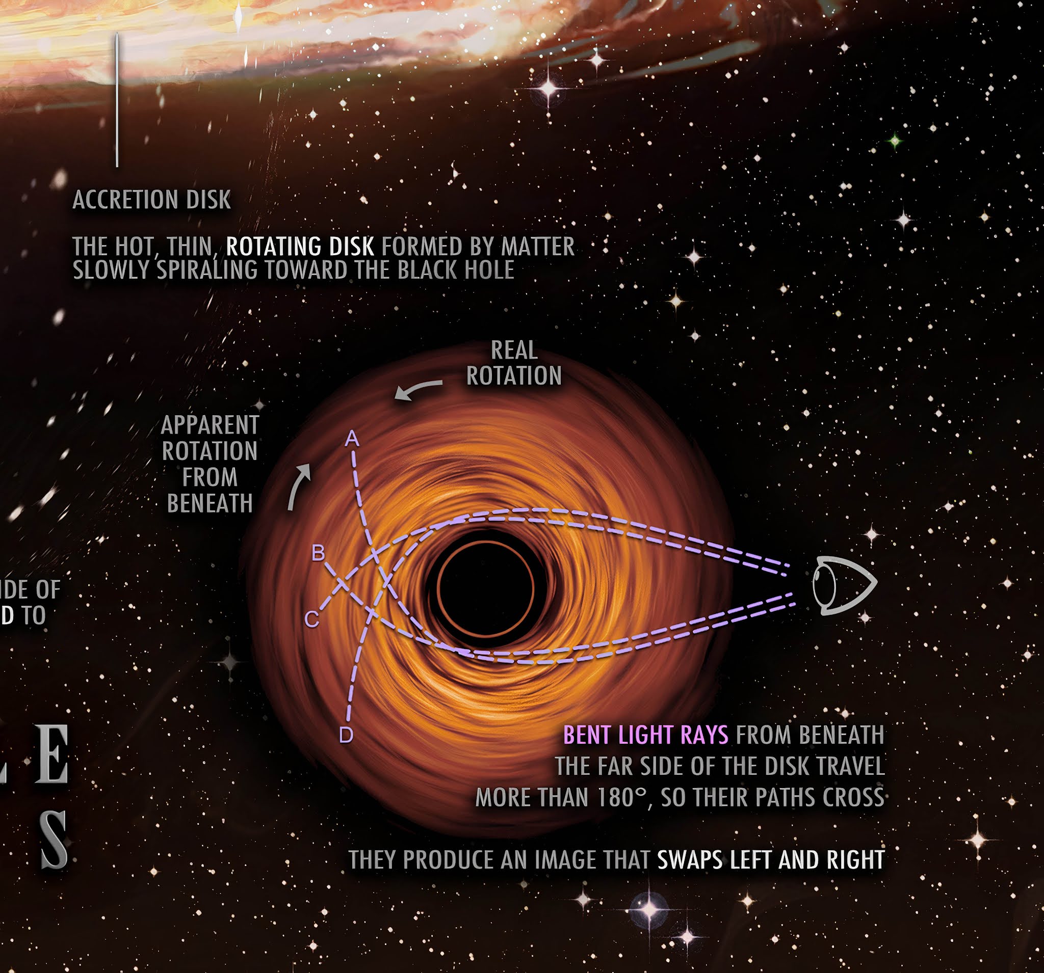 Black Hole infographics - Pablo Carlos Budassi