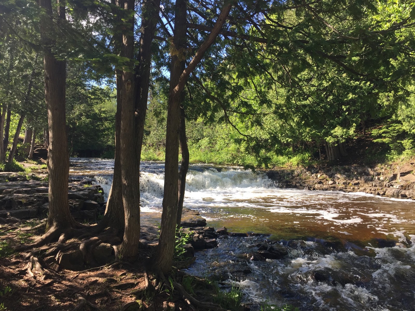 Travel Reviews & Information: Ocqueoc and Rogers City, Michigan ...