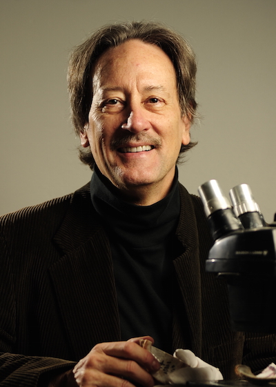 LITERATURA PRECOLOMBINA: 2017