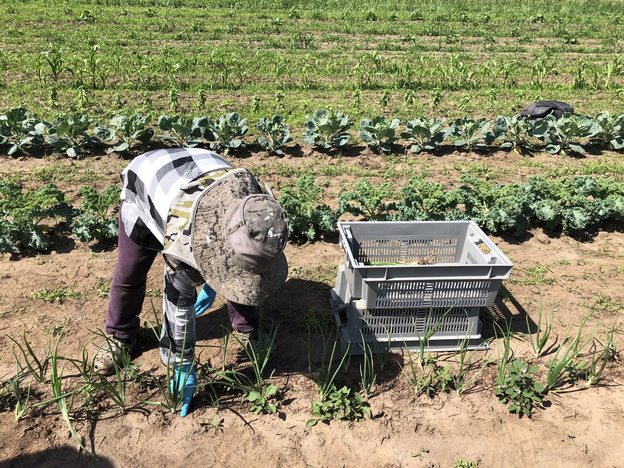 New employees? Don't forget to offer food safety trainings - sample ...