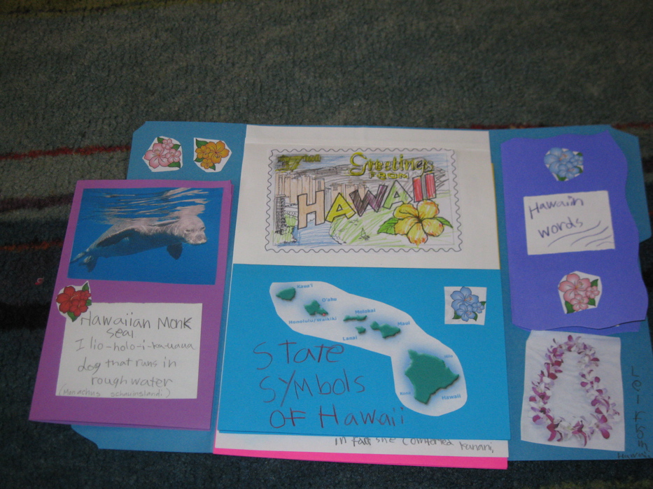Sea Star Academy: Kanani and Hawaii Lapbook