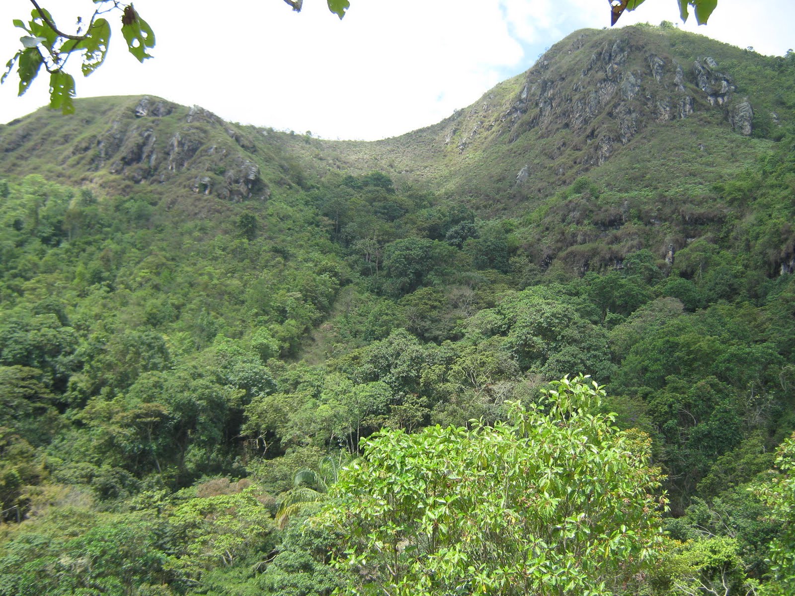 Pasión por Colombia: Nilo