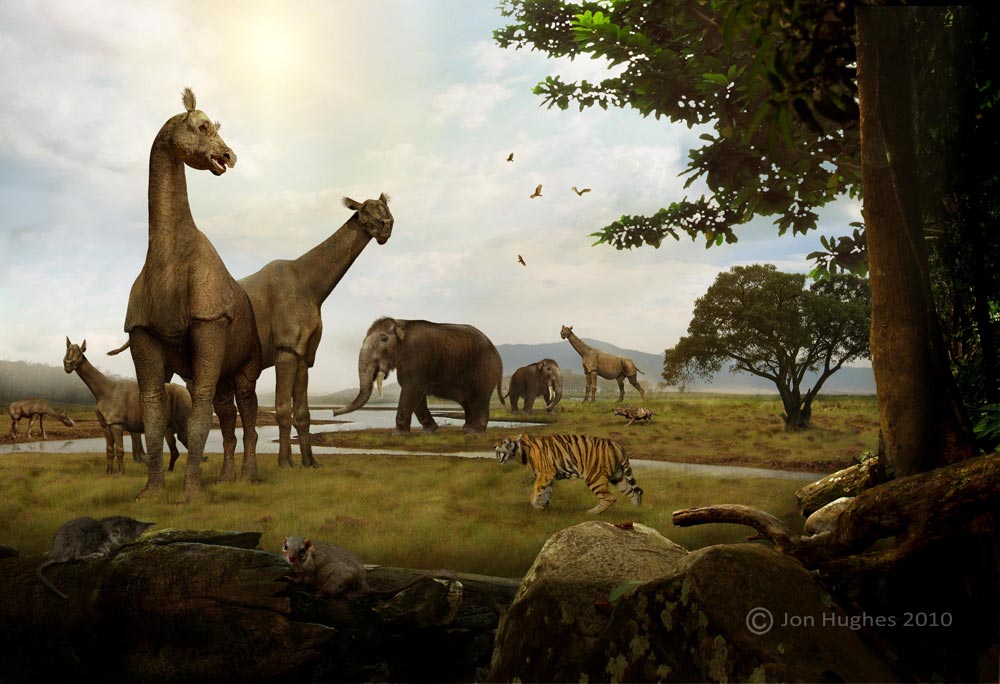 Jon hughes - Digital Artist: Update (or new start)