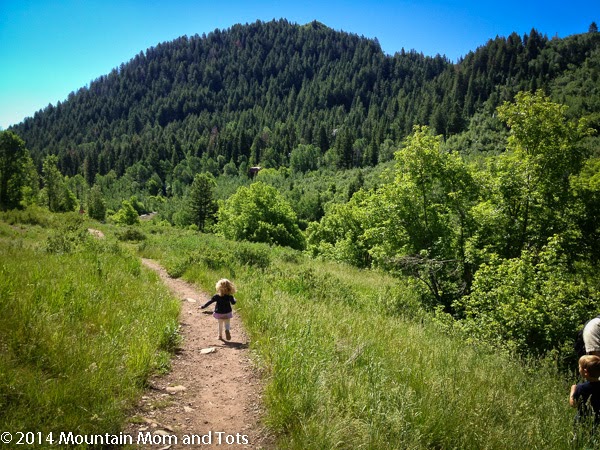Waterfall Week - Hike to Stewart Falls, Provo Canyon, Utah - Mountain ...